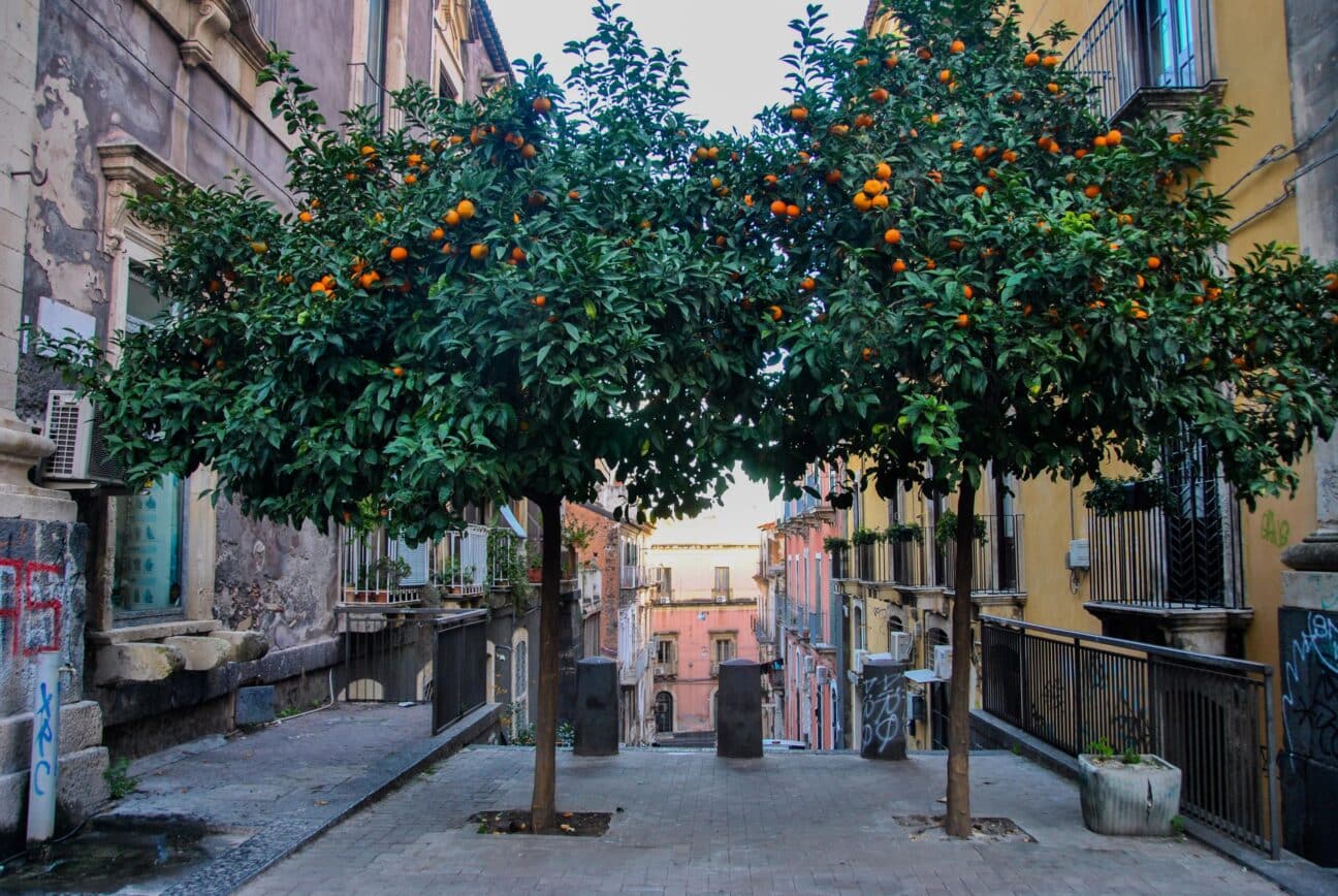 The Most Exciting Things to Do in Catania: How to Make the Most of ...