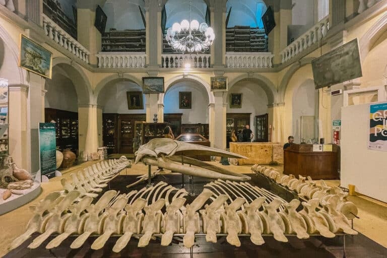 Like a Local in Gallipoli Puglia: 10 Special Things to Do